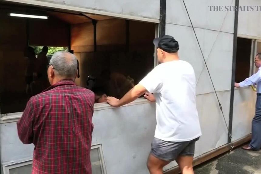 Japan's first Mongolian sumo stable master gains acceptance | The ...