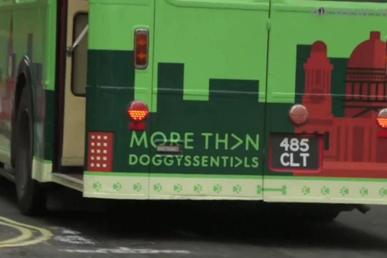 Dogs sightsee in London on special tour bus | The Straits Times