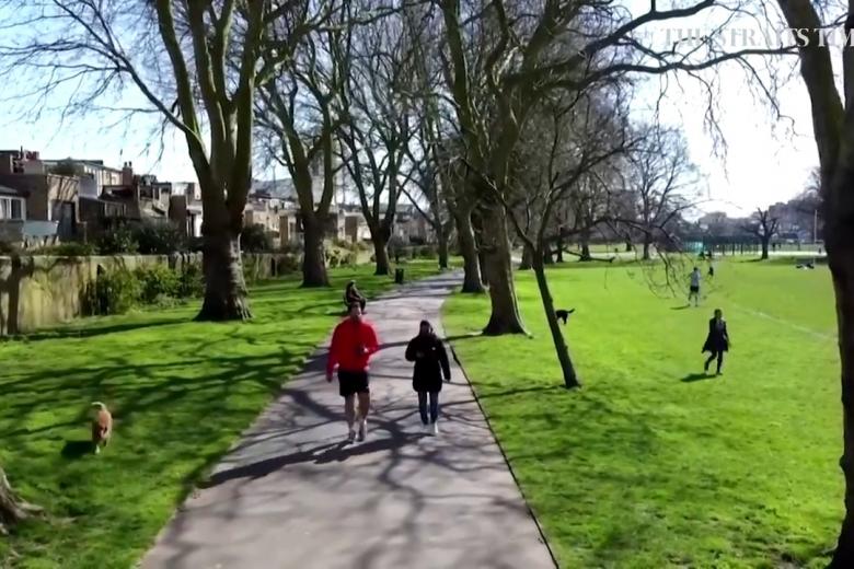 Britain to treble tree planting by 2024 to fight climate change | The ...