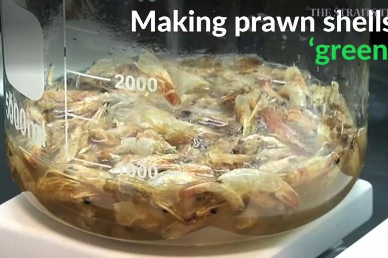 Egyptian researchers turn prawn shells into plastic | The Straits Times