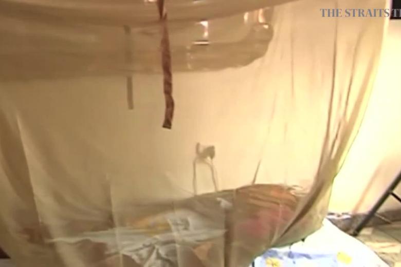 Zika virus spreads to Peru | The Straits Times