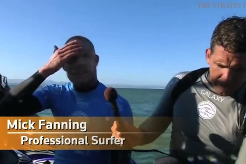 Surfing pro fights off South African shark attack on live TV | The ...