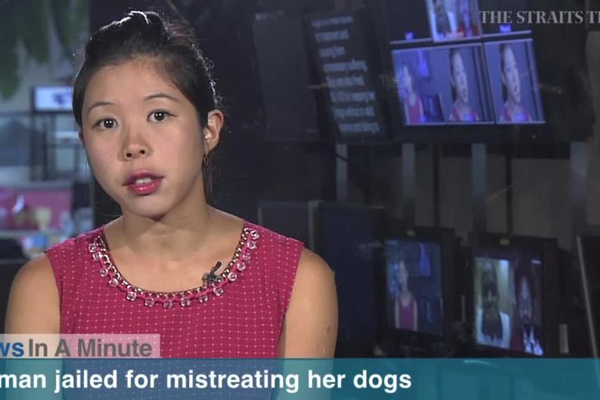 The Straits Times' News In A Minute: Feb 23, 2016 | The Straits Times