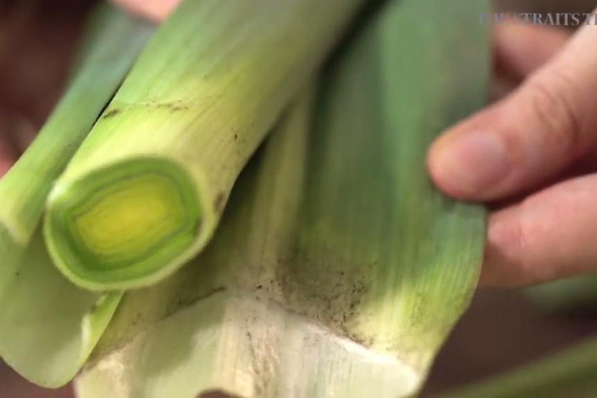 Basic Kitchen Tips: How to prepare leeks | The Straits Times
