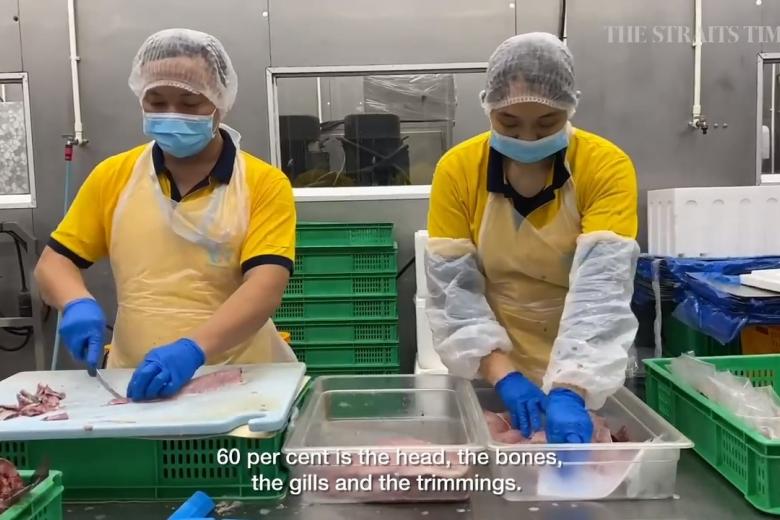 Scaling towards zero food waste in fish farming | The Straits Times