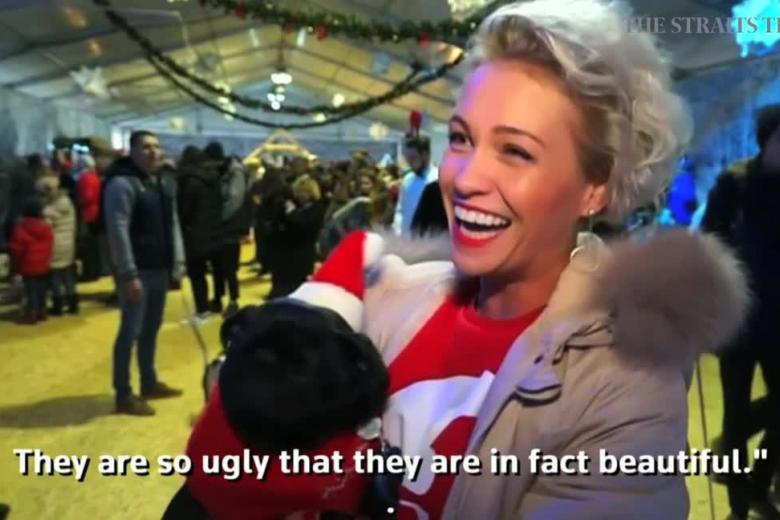Pugs hit fashion runway at Christmas market in Kiev | The Straits Times
