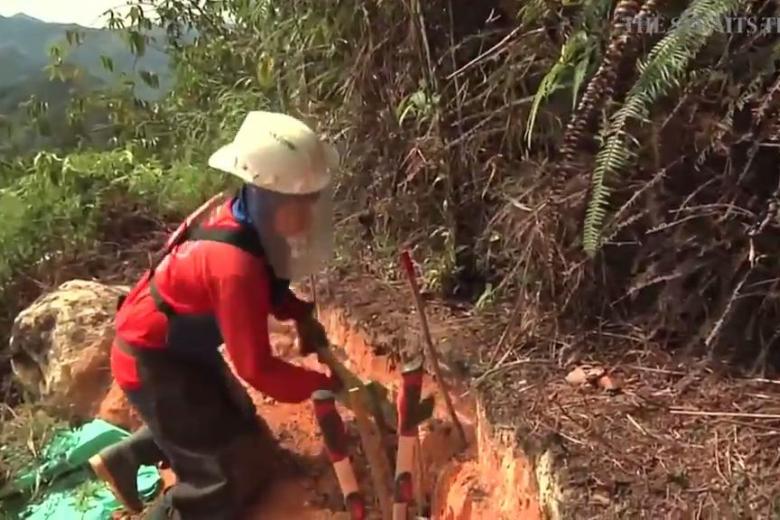 Demining Colombia | The Straits Times