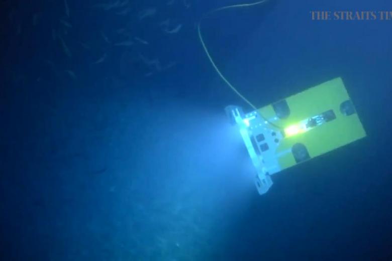 Deep sea robots reveal mineral riches in the abyss | The Straits Times