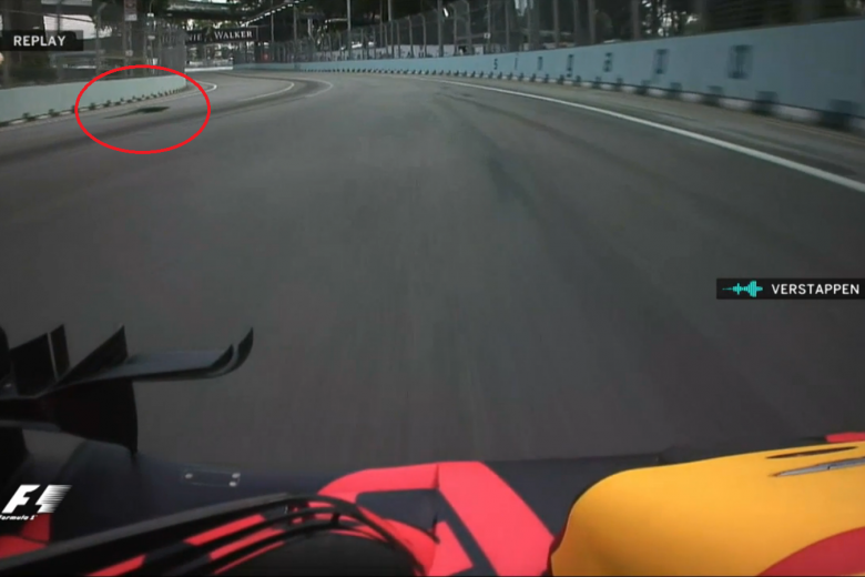 Formula One: Monitor lizard in the limelight as Nico Rosberg laps ...