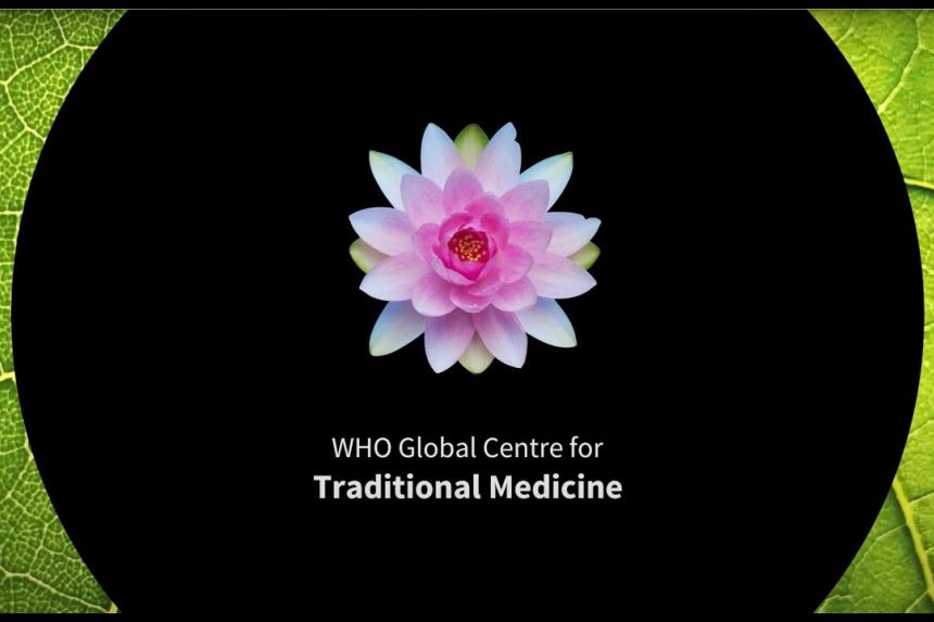 WHO's new centre in India to help bring traditional medicines into ...