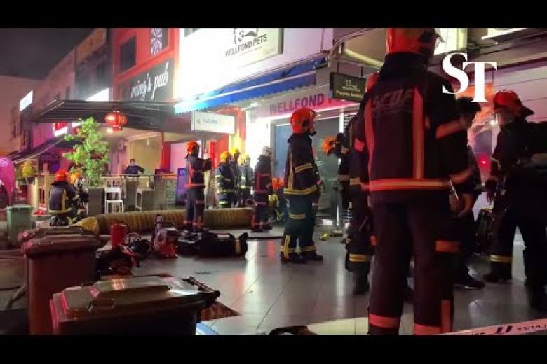 19 puppies rescued from Upper Thomson pet store fire | The Straits Times