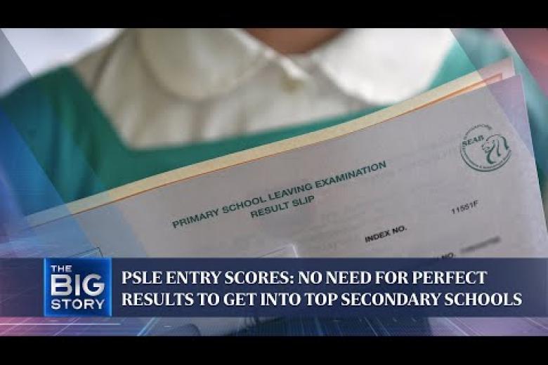 PSLE entry scores: How parents can use the data to pick the right ...