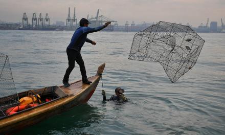 Latest HOME IN FOCUS | The Straits Times