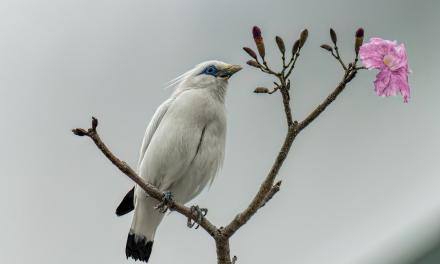 Ang Qing | The Straits Times