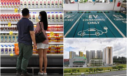 Goh Yan Han | The Straits Times