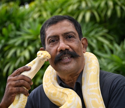 Latest Singapore News & Headlines, Top Stories Today - The Straits Times