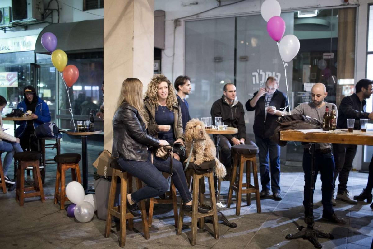 In Pictures: Dog owners in Tel Aviv receive special Digi-Dog cards ...