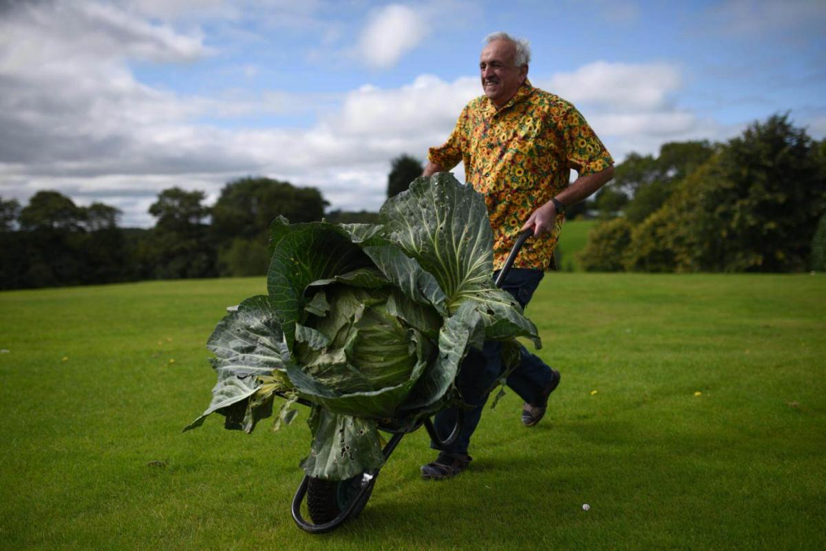 In Pictures: The Harrogate Autumn Flower Show | The Straits Times