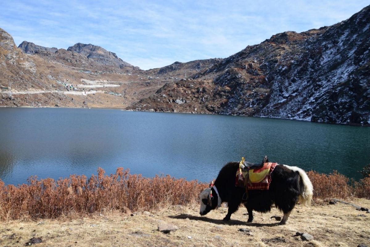 Splendours of Sikkim, the Shangri-la of the Himalayas | The Straits Times
