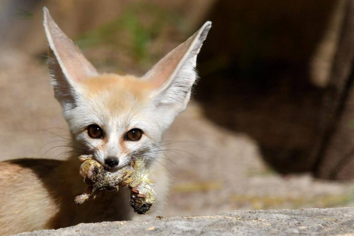 Today in Pictures, June 28, 2018 | The Straits Times
