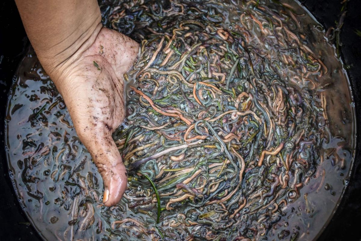 Today in Pictures, Feb 27, 2019 | The Straits Times