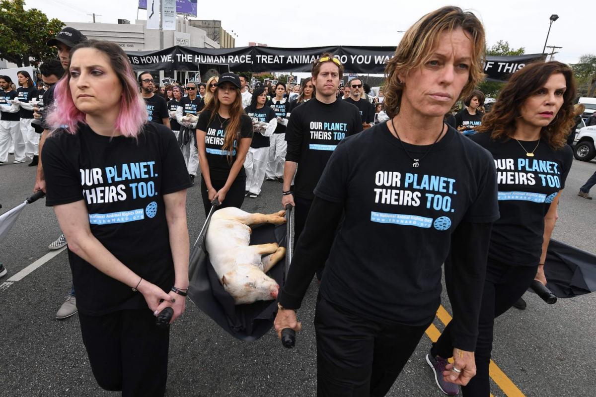 Today in Pictures, June 4, 2019 | The Straits Times