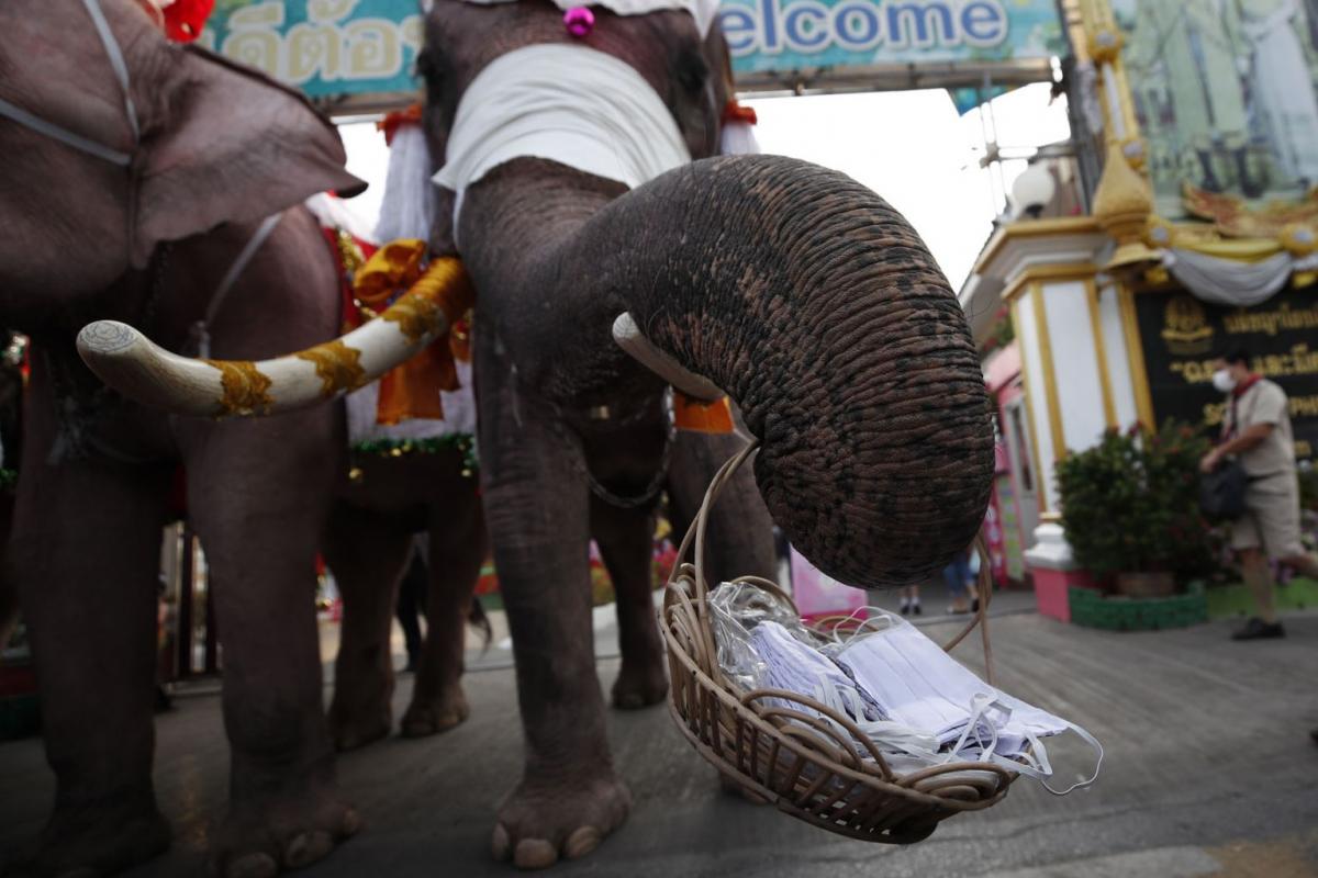 In Pictures: Elephants bring Christmas cheer to children in Thailand ...