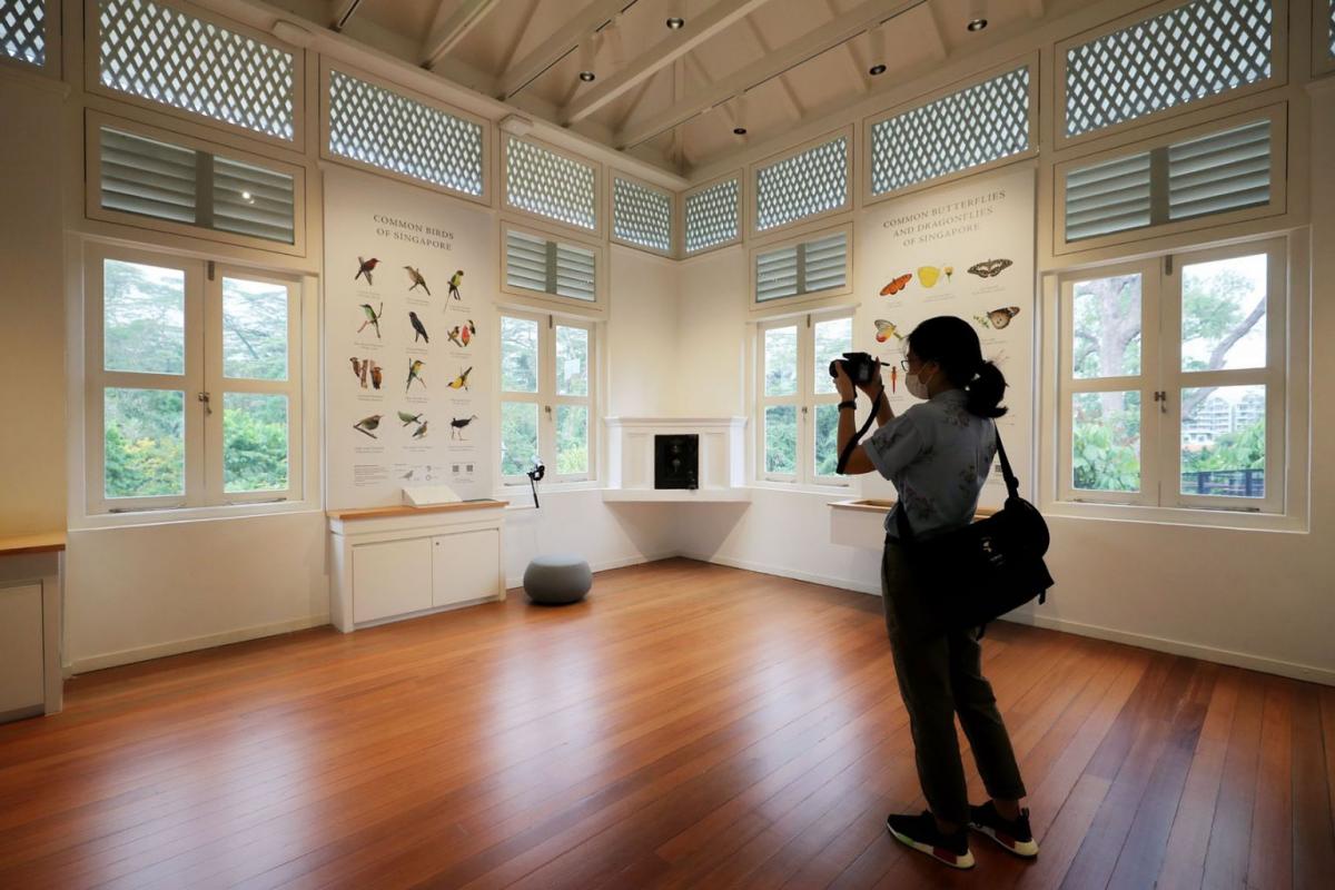 In Pictures: Gallop extension opens in Singapore Botanic Gardens | The ...