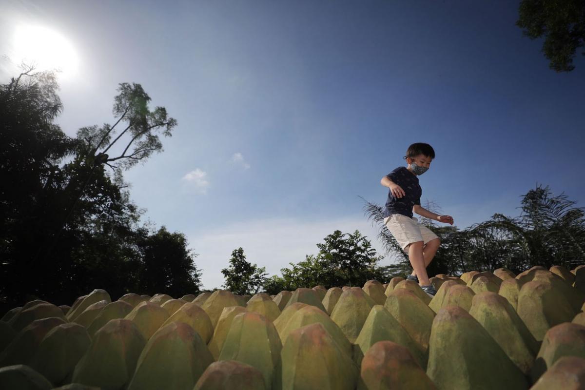 In Pictures: Gallop extension opens in Singapore Botanic Gardens | The ...