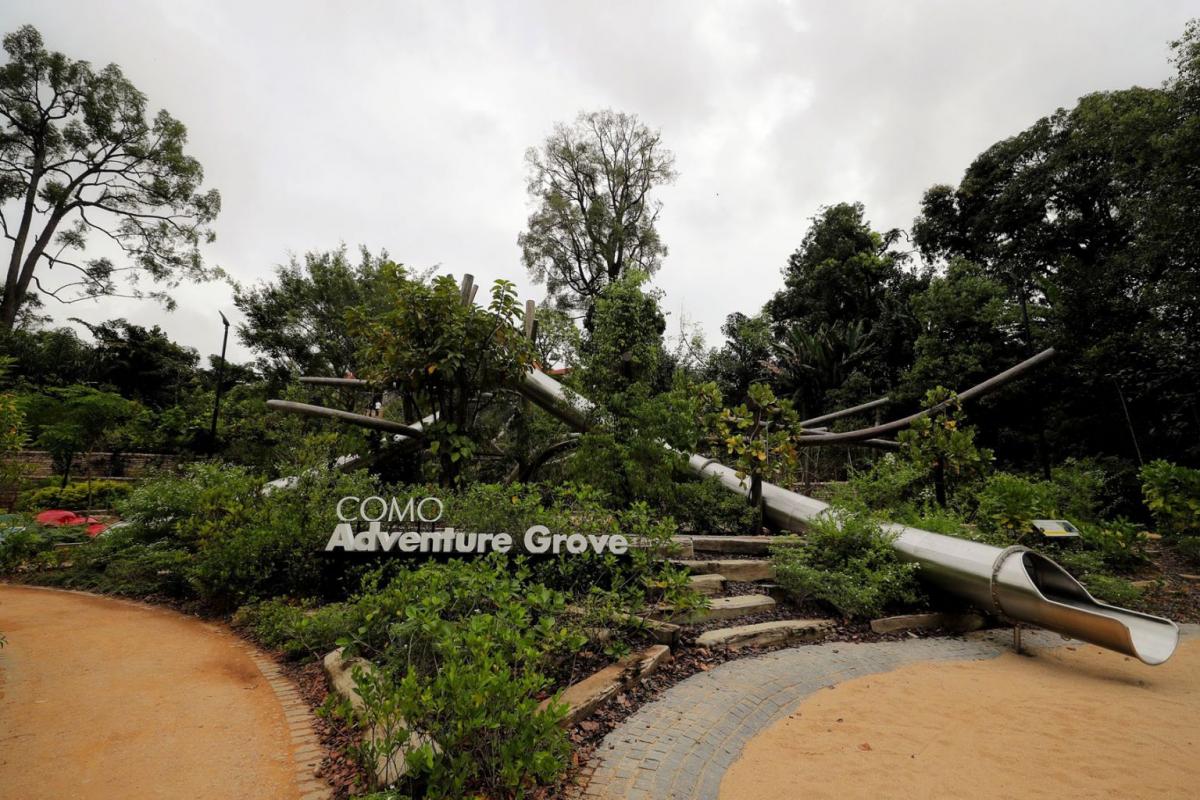 In Pictures: Gallop extension opens in Singapore Botanic Gardens | The ...