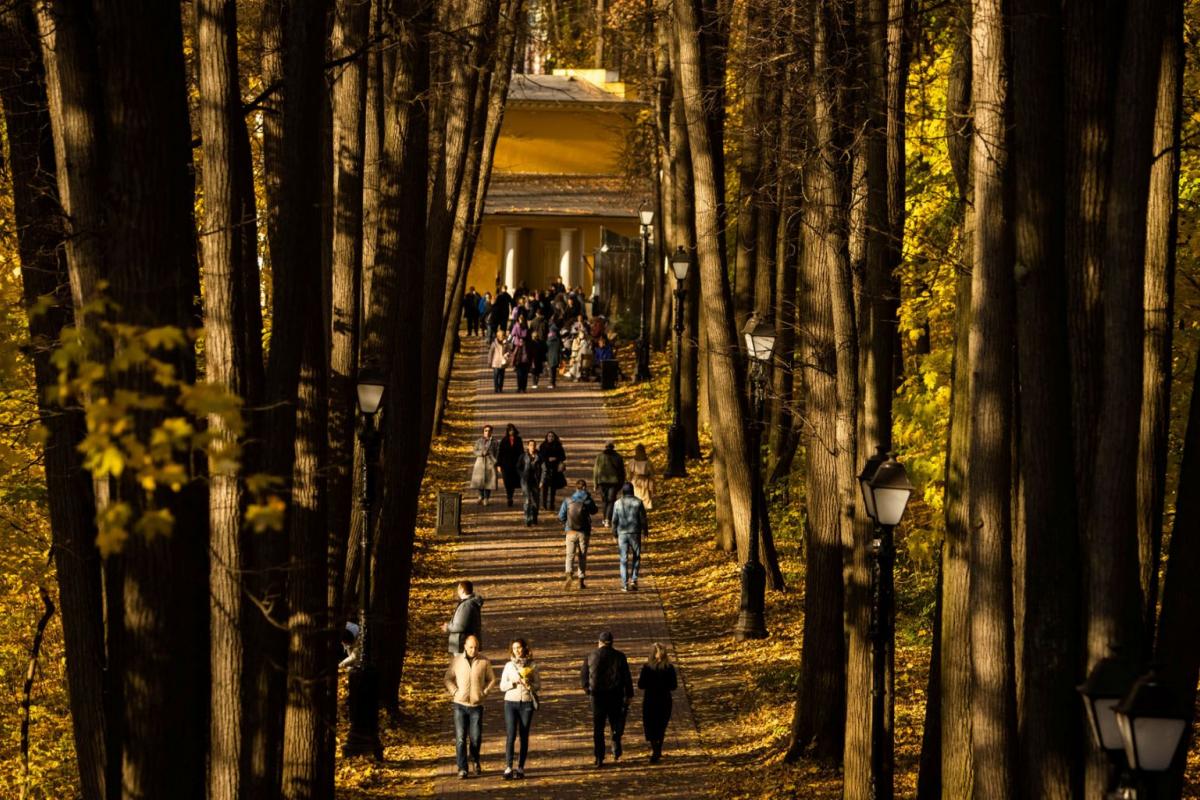 In Pictures: Colours of autumn | The Straits Times