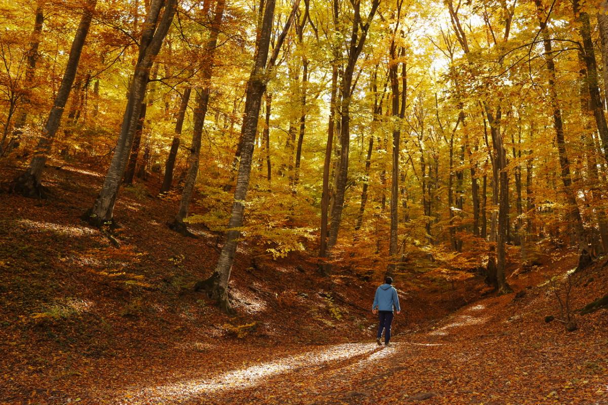 Fall in step with nature | The Straits Times