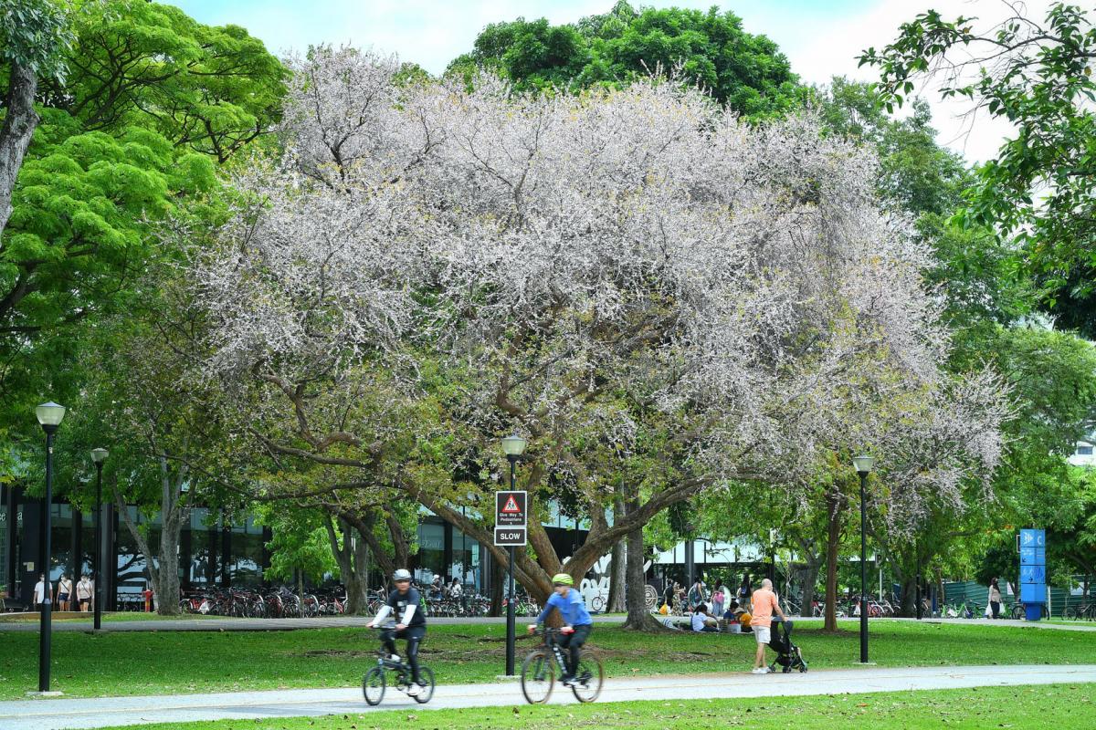 Today in Pictures, Feb 28, 2022 | The Straits Times