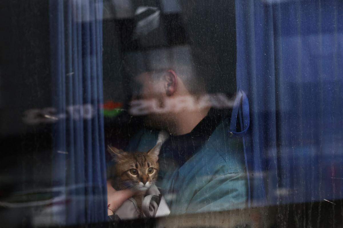 In Pictures: Ukrainians bring along pets as they flee amid Russian ...