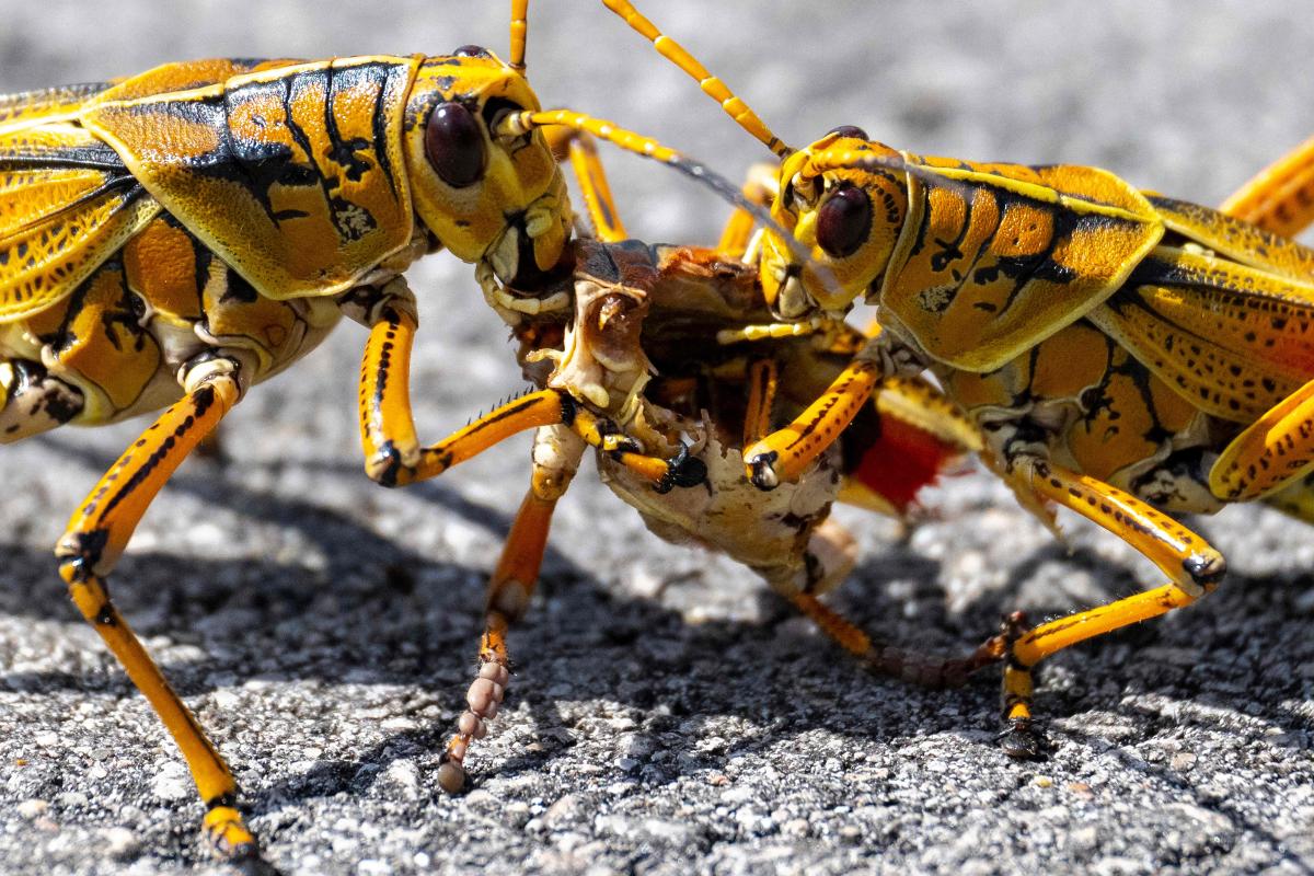 Today in Pictures, June 15, 2023 | The Straits Times