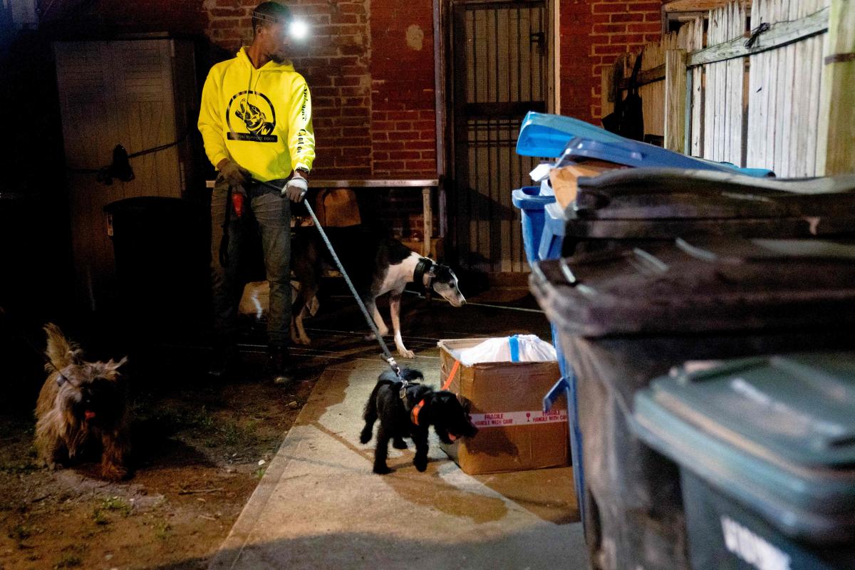In Pictures: Washington’s war on rodents | The Straits Times