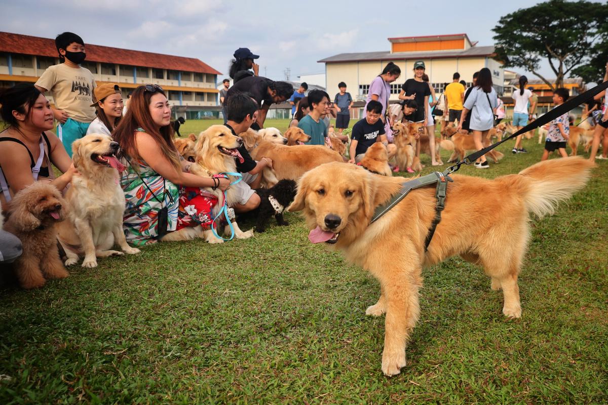 Today in Pictures, Sep 4, 2023 | The Straits Times