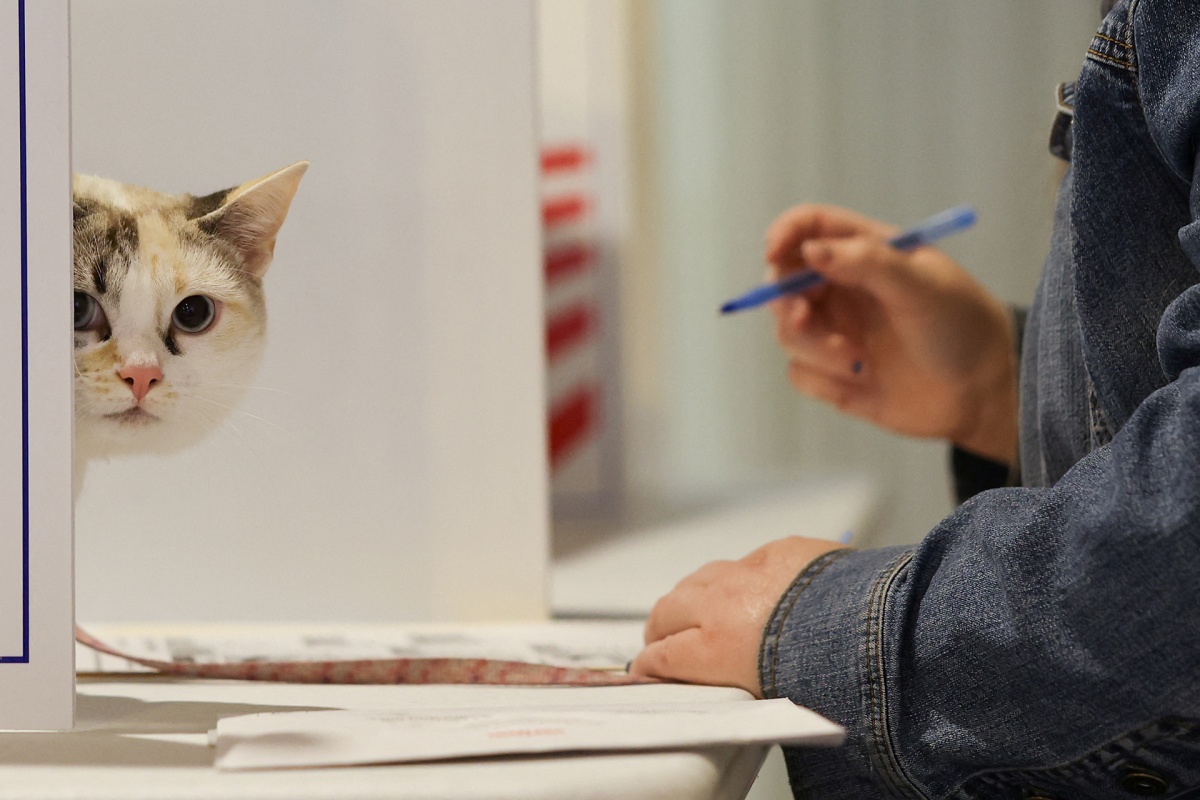 In Pictures: Trump declares victory in US presidential election | The ...